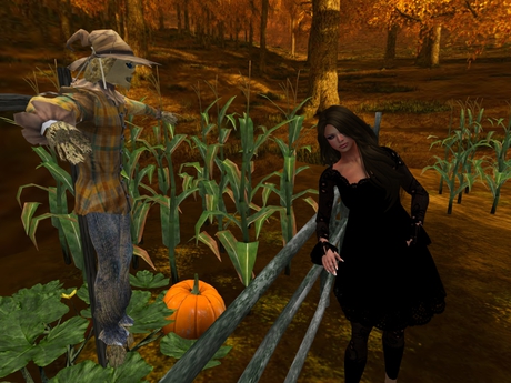 Second Life Marketplace - Beautiful Fall Autumn Skybox(crate)