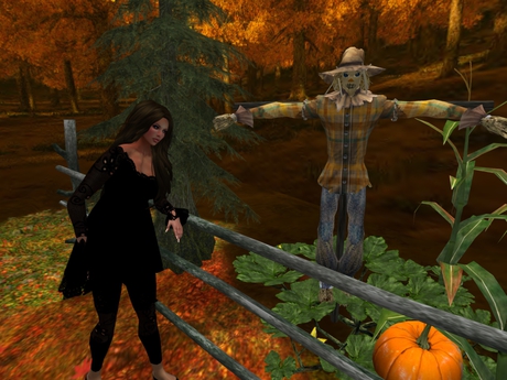 Second Life Marketplace - Beautiful Fall Autumn Skybox(crate)