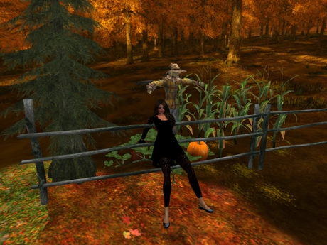 Second Life Marketplace - Beautiful Fall Autumn Skybox(crate)