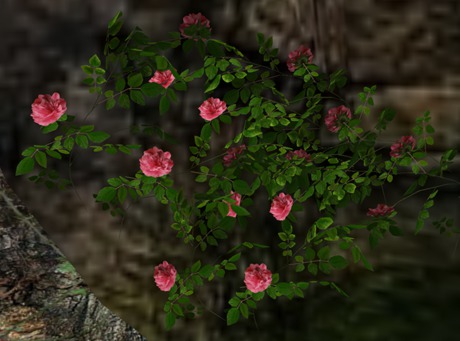 Second Life Marketplace - Climbing Rose Pack - Pink - Copy Mod