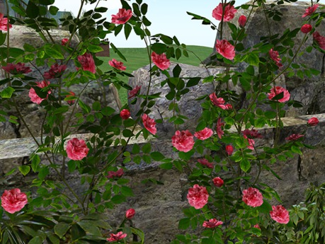 Second Life Marketplace - Climbing Rose Pack - Pink - Copy Mod