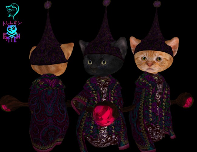 Second Life Marketplace - Dinkie Wizard of Darkness Outfit v2 250