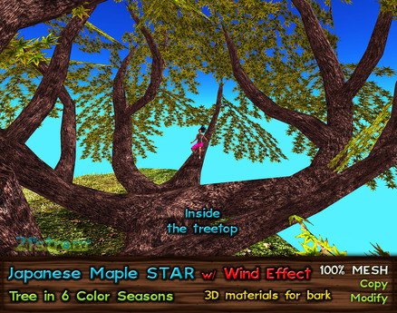 Second Life Marketplace - Japanese Maple STAR - Color Seasons - 6 Mesh ...