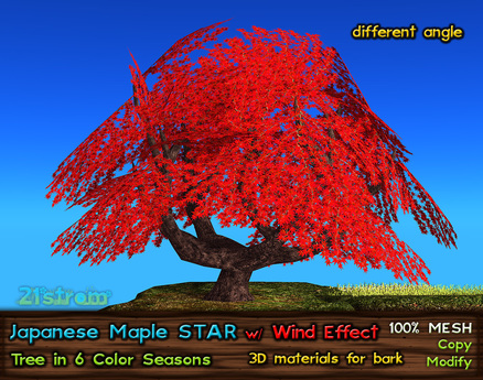 Second Life Marketplace - Japanese Maple STAR - Color Seasons - 6 Mesh ...