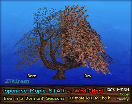 Second Life Marketplace - Japanese Maple STAR - Dormant Seasons - 5 ...