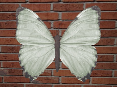 Second Life Marketplace - Off White Butterfly
