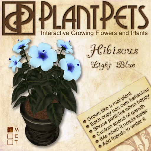 Second Life Marketplace - PlantPet Seed Hibiscus Light Blue