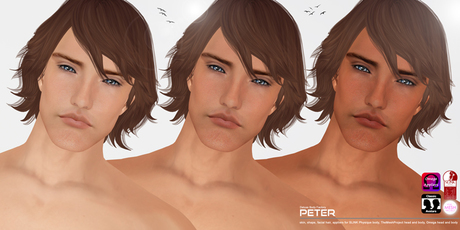 Second Life Marketplace - Peter skin and shape, appliers for ...
