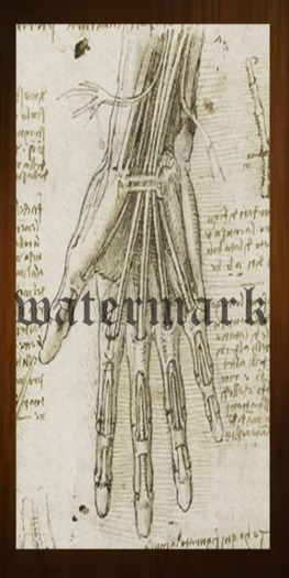 Second Life Marketplace - SWE Poster - Medieval Anatomy Human Hand