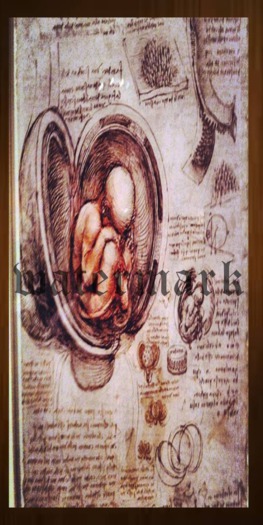 Second Life Marketplace - SWE Poster - Medieval Anatomy Baby in Womb Dark