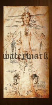 Second Life Marketplace - SWE Poster - Medieval Anatomy Human Posession