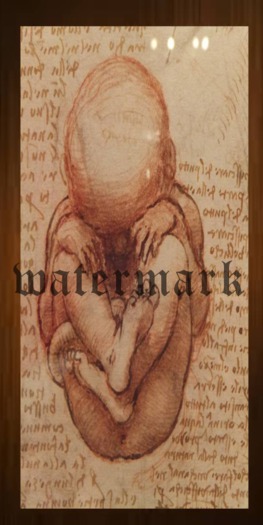 Second Life Marketplace - SWE Poster - Medieval Anatomy Newborn