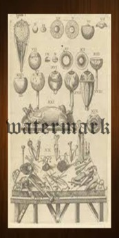 Second Life Marketplace - SWE Poster - Medieval Anatomy Pigs Eye