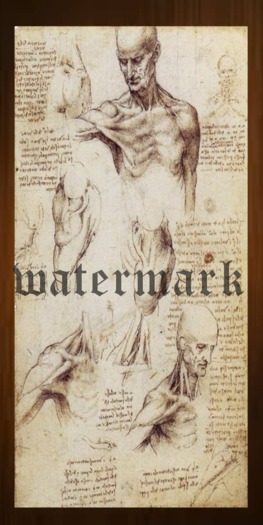 Second Life Marketplace - SWE Poster - Medieval Anatomy Shoulder Male