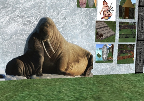 Second Life Marketplace - Alaskan Walrus Mother Snuggling Pup alpha ...