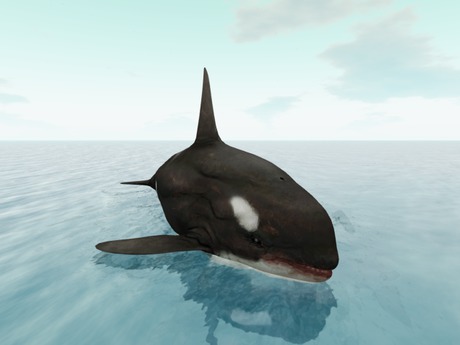 Second Life Marketplace - MESH KILLER ORKA