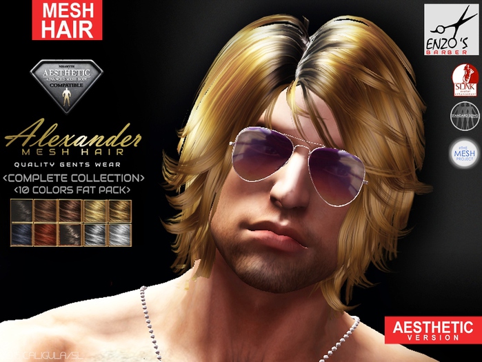 Second Life Marketplace - CA AESTHETIC MESH HAIR ALEXANDER