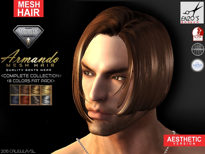 Second Life Marketplace - CA AESTHETIC MESH HAIR ARMANDO