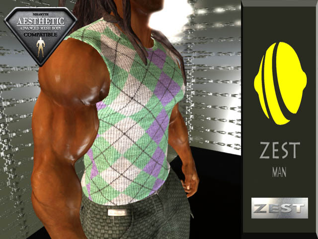 Second Life Marketplace - ZEST MAN mint and lilac check tank boxed