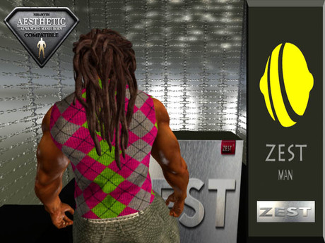 Second Life Marketplace - ZEST MAN pink and green check tank boxed