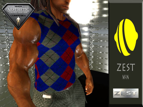 Second Life Marketplace - ZEST MAN blue and red check tank boxed