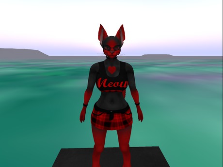 Second Life Marketplace - school girl meow texture mod tanktop/skirt