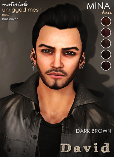 Second Life Marketplace - MINA - David - Dark brown