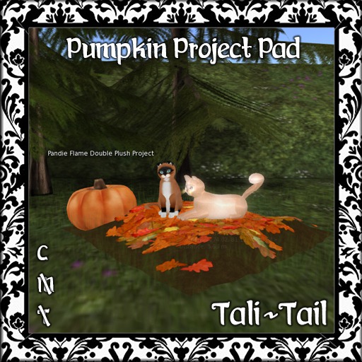 Second Life Marketplace - Pumpkin Project Pad (Copiable Version)
