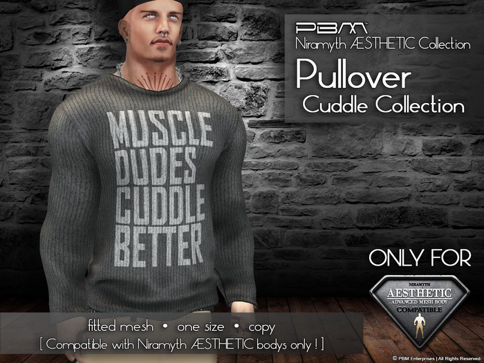 Second Life Marketplace - PBM AESTHETIC [Cuddle Pullover] Muscle Dudes