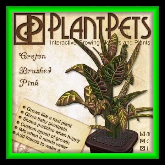 Second Life Marketplace - PP PlantPet Seed [Croton *Brushed Pink ...