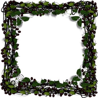 Second Life Marketplace - 7 Forest Picture Frames (Alpha Textures)