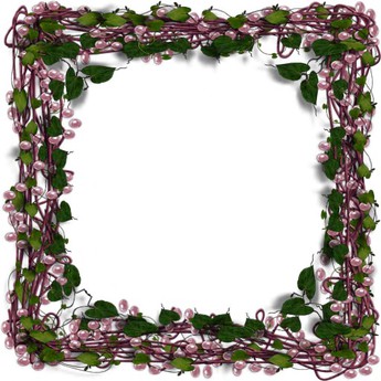 Second Life Marketplace - 7 Forest Picture Frames (Alpha Textures)