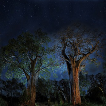 Second Life Marketplace - Autumn Skybox with spooky forest screen