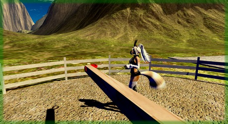 Second Life Marketplace - Pony Trainer
