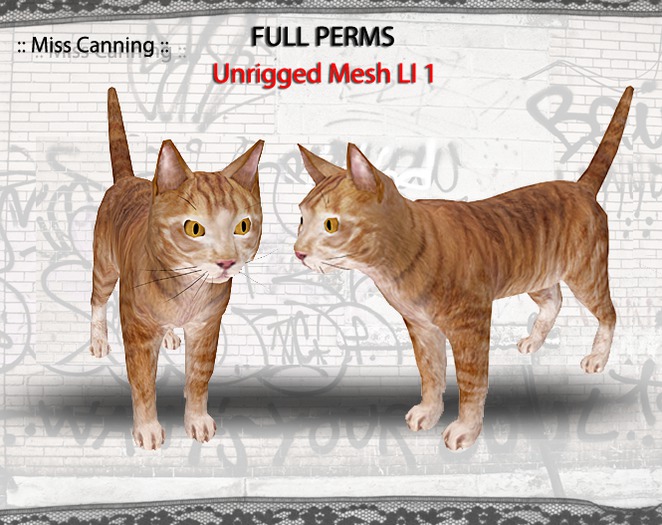 Second Life Marketplace - :: Miss Canning:: [ FULL PERM MESH SHAPE+MAP ...