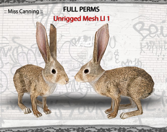 Second Life Marketplace - :: Miss Canning:: [ FULL PERM MESH SHAPE+MAP ...