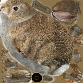 Second Life Marketplace - :: Miss Canning:: [ FULL PERM MESH SHAPE+MAP ...