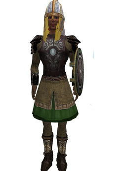 Second Life Marketplace - Middle Earth Eomer Avatar Hair/Skin/Armour ...