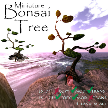 Second Life Marketplace - O.C.D. - Miniature Bonsai Tree COPY