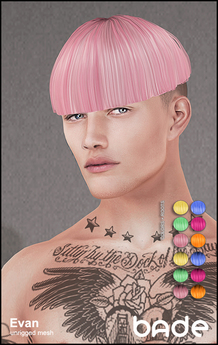 Second Life Marketplace - [bade] Evan COLORS