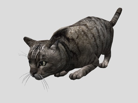 Second Life Marketplace - Cat Pack - Mesh - Full Perm