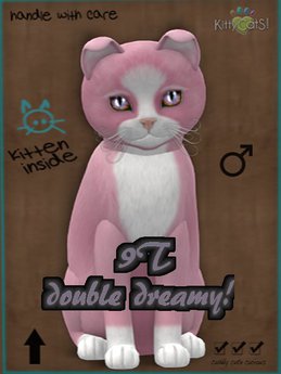 Second Life Marketplace - KittyCatS Box - ♂ M 9T Chateau Cat Pink ...