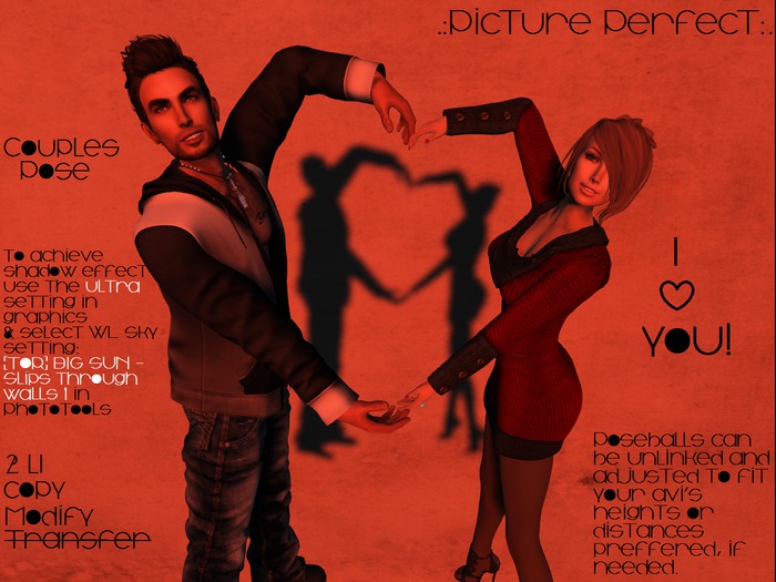 Second Life Marketplace - .:Picture Perfect:. Couples Pose - I Heart ...