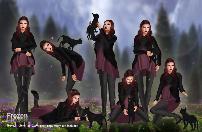 Second Life Marketplace - Frozen - Witch & a cat poses