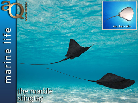 Second Life Marketplace - aQ Full Set of Stingrays