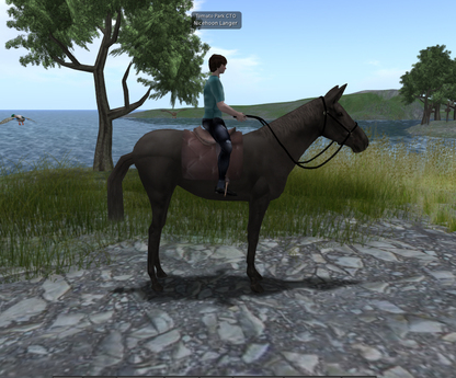 Second Life Marketplace - [TomatoPark] Wearable Horses