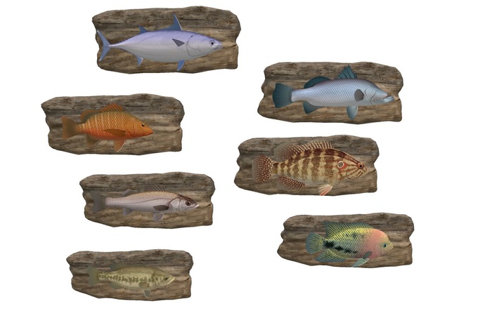 Second Life Marketplace - Maxx's Mounted Fish