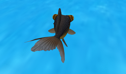Gold Fish Animated Gif