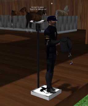 Second Life Marketplace - Jockey Scales (Counts scripts) for Ranches ...