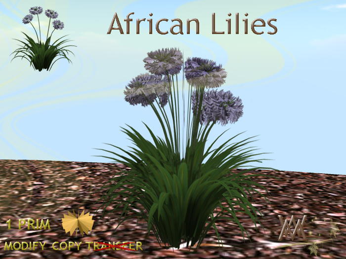 Second Life Marketplace - Plant. African lily COPY by Wild Motley